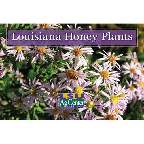 Lsu Agcenter Store Louisiana Honey Plants